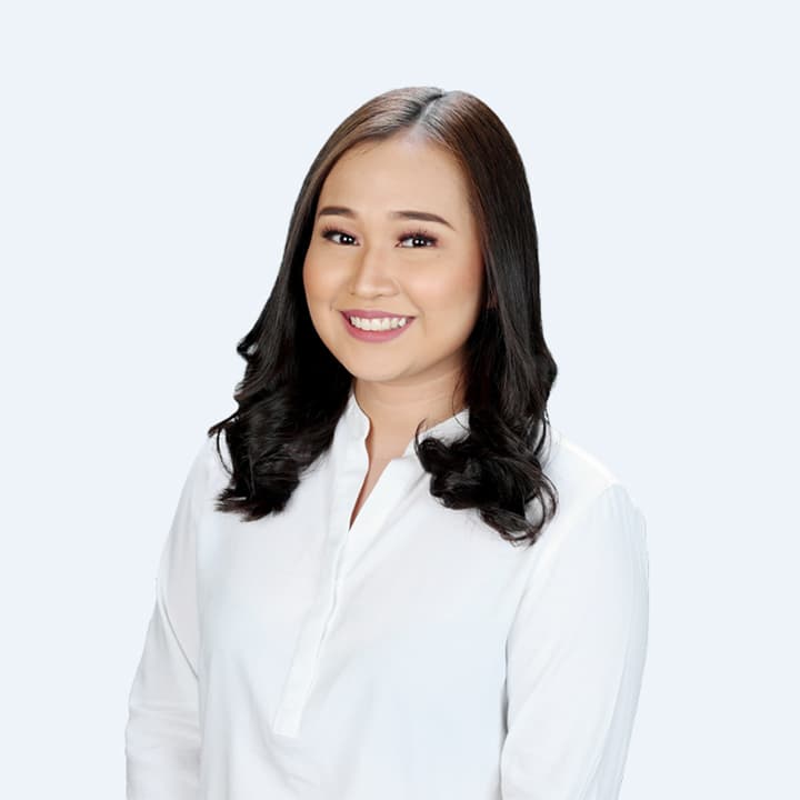 SMALL WORLD - Global IT Engineer Recruitment Career